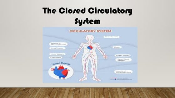Open and close circulatory systems and examples | PPTX