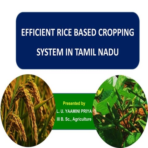 EFFICIENT RICE BASED CROPPING SYSTEM | PPTX