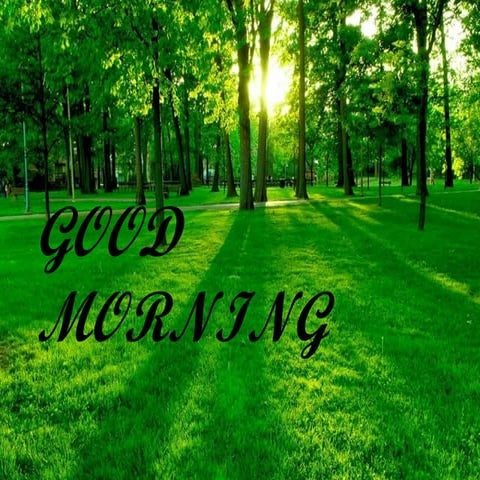 Ackerman & proffit classification of malocclusion | PPTX