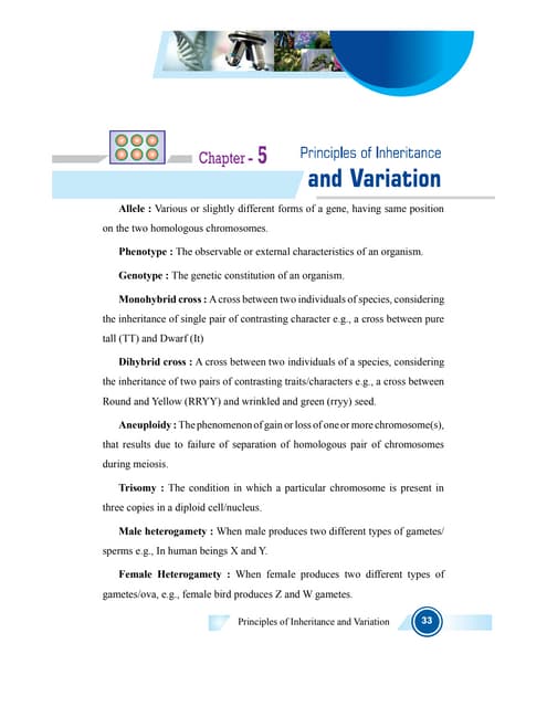 Mendel's law | PPTX | Genetics | Science