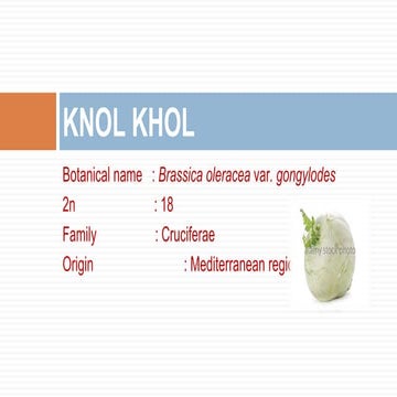COMMERCIAL VARIETIES AND HYBRIDS IN KNOL KHOL | PPTX