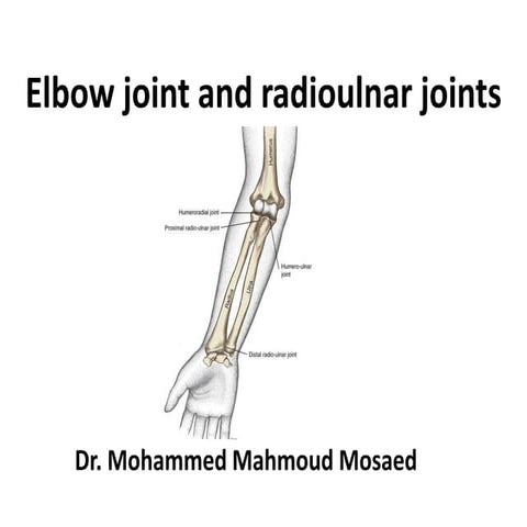 Elbow joint and radioulnar joints by mohammed | PDF