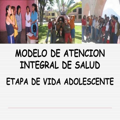 Paquete atencion integral | PDF