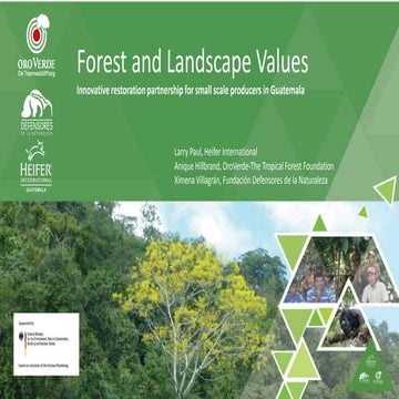Forest and Landscape Values | PPTX