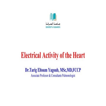 3.electrical activity of the heart | PPT