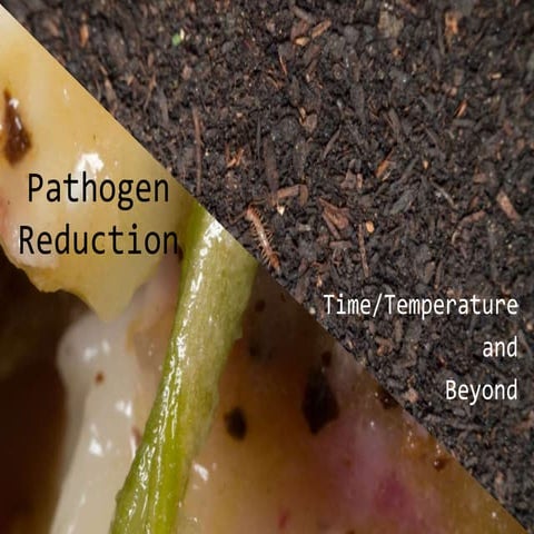 Pathogen Reduction: Time, Temperature, and Beyond | PPT
