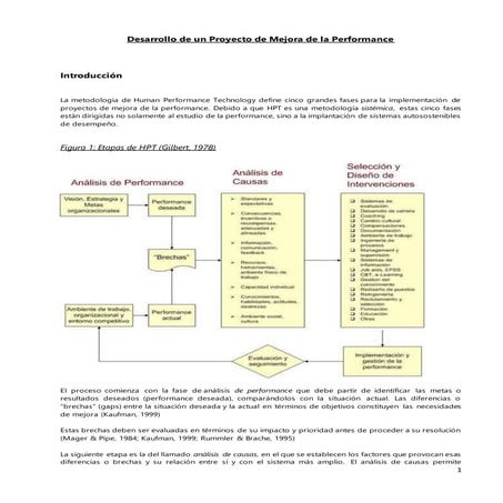 Desarrollo de un proyecto de mejora de la performance | PDF