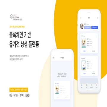 3. jeju hackathon winner idea & Development | PPT