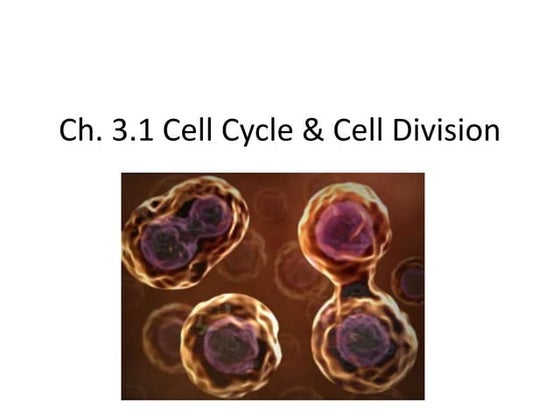 Cell division-mitosis-meiosis-biology-lecture-power point-vcb-cct | PPT