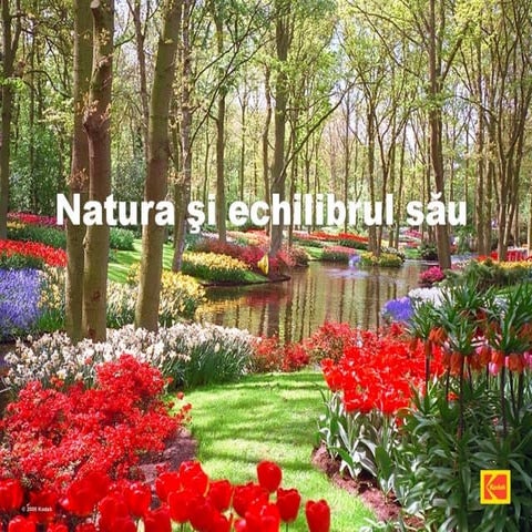 3.1 natura si echilibrul sau | PPT
