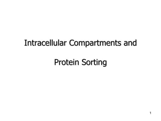 Sorting and sorting and regulation of intracellular transport | PPT