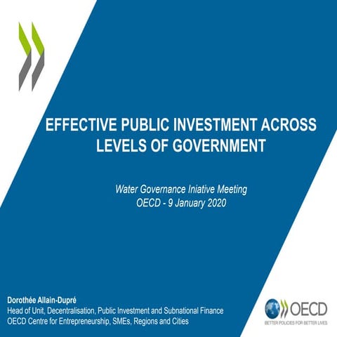 Effective Public Investment Across Levels of Government | PPTX