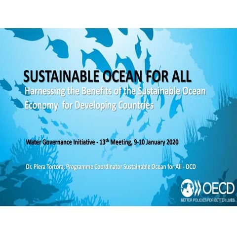 Sustainable Oceans for All: Harnessing the Benefits of the Sustainable ...