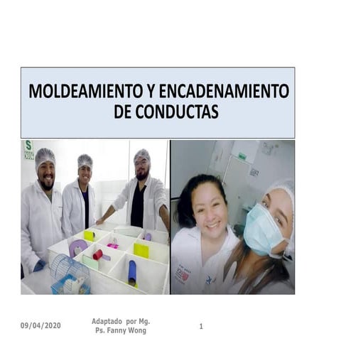 Programa de modificación conductual psicopedagogía | PDF