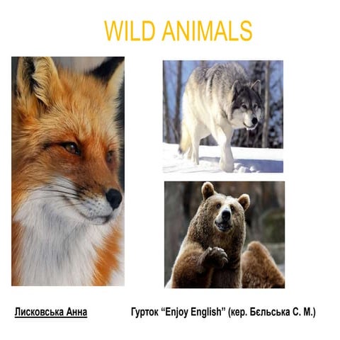 WILD ANIMALS | PPT