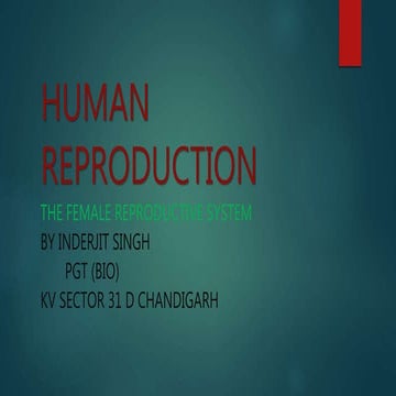 3. human reproduction female reproductive system | PPTX