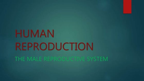 Grade 9 - Sexual Reproduction of Human | PPT | Pregnancy | Reproductive ...