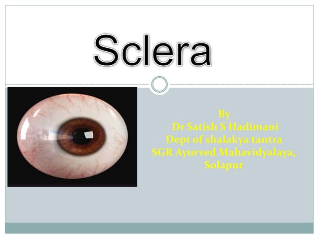 ANATOMY OF THE SCLERA | PPTX