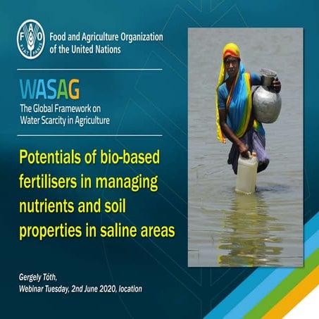 Potentials of bio-based fertilisers in managing nutrients and soil ...