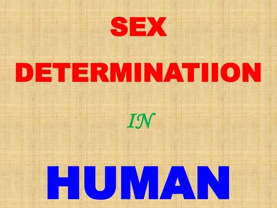 Sex Determination Chromosomal Theory Of Sex Determination Ppt