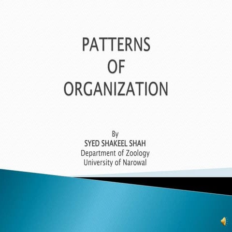 3. patterns of organization | PPTX