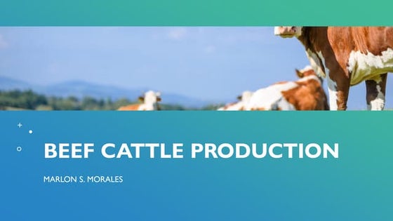 overview-of-the-beef-cattle-industry.pptx