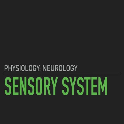 3. sensory system | PDF