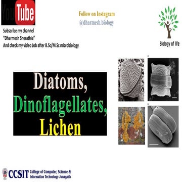 Diatoms, Dinoflagellates, Lichen | PDF