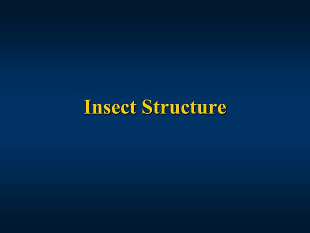 Insect thorax : Its areas, structure, function and modification in ...