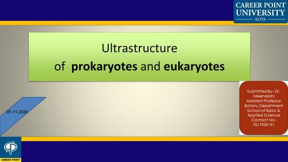 Ultrastructure of prokaryotic and eukaryotic cells | PPT