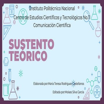 3.Sustento teorico.pptx