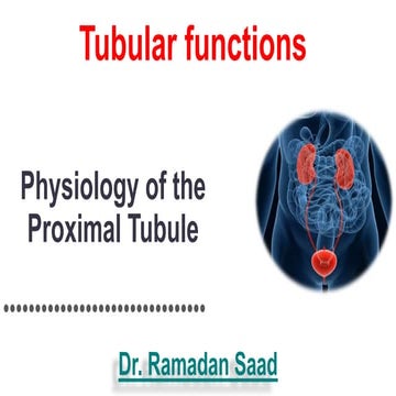 3. physiology of renal tubules(1).ppt
