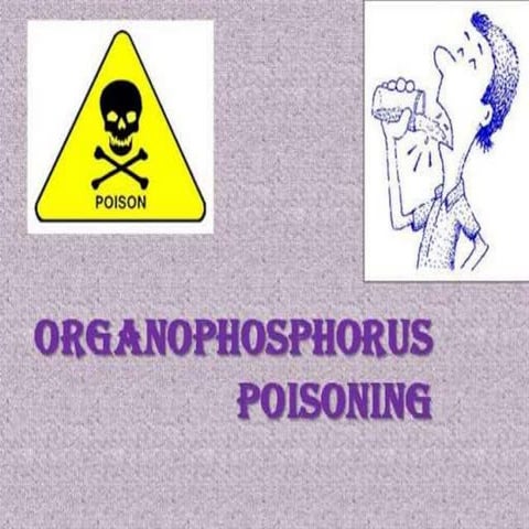 Organophosphate poisoning and its management (Clinical Toxicology) | PPTX