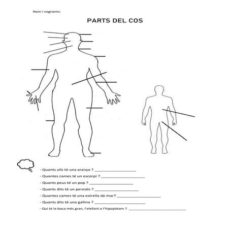 3. Parts del cos G.pdf