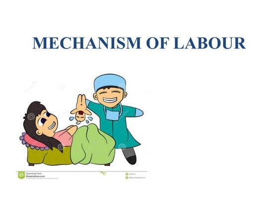 Mechanism of normal labour | PPTX | Pregnancy | Reproductive Health