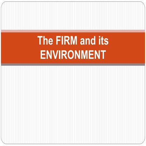 3.-The-FIRM-and-its-ENVIRONMENT.pptx
