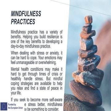3. Mindfulness Practices.pptx