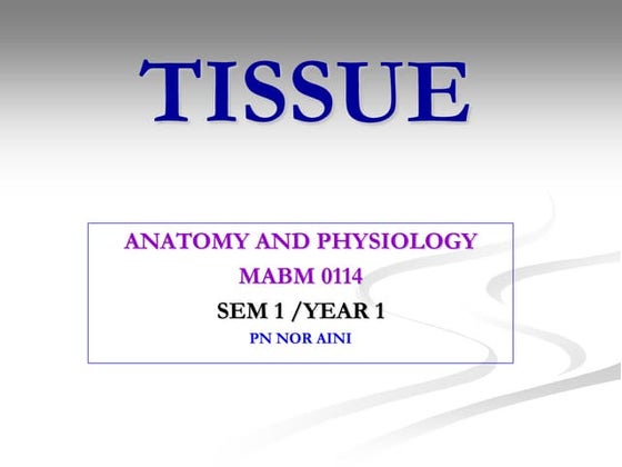 General histology.(introduction) | PPT | Endocrine and Metabolic ...
