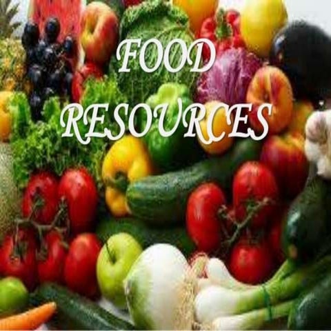 3. food resources.pptx
