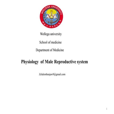 3 1 Male Reproductive Physiology Pptx