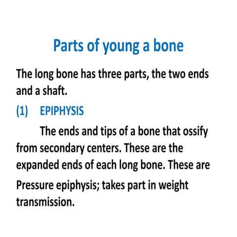 3. parts of bones (1).pptx