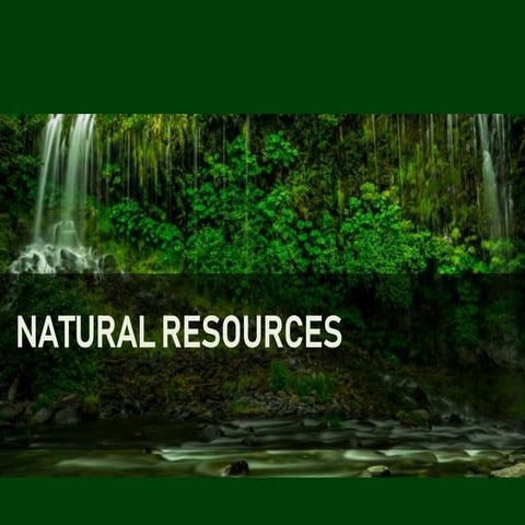 3.Land RESOURCES (1).ppt