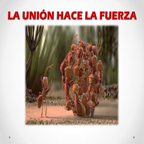 3. LA UNION HACE LA FUERZA.pdf
