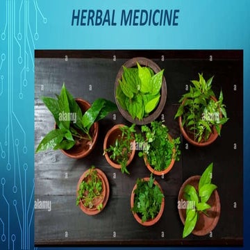 Herbal Medicine | PPT