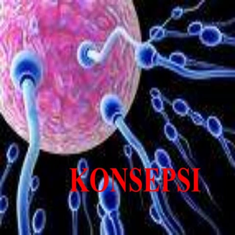 3.konsepsi--.ppt