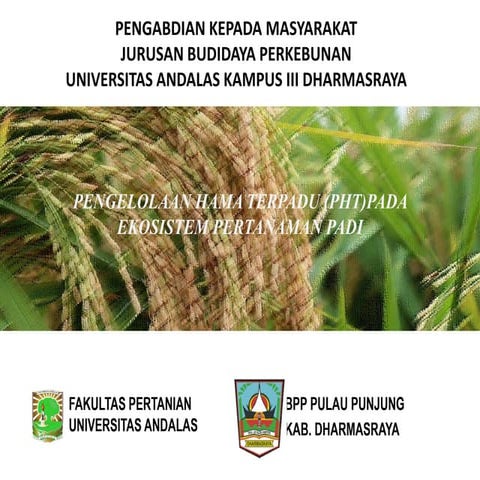 3. MATERI PENYULUHAN PHT PADI.pdf