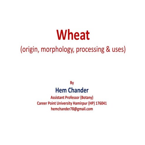 3. Wheat.pdf