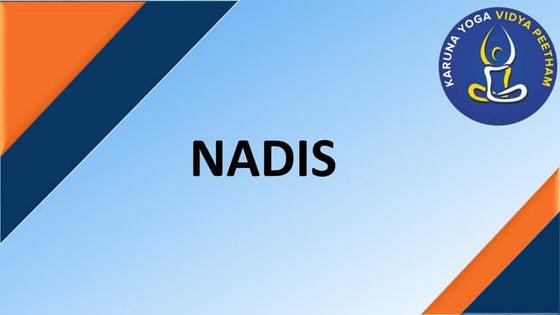 Nadis | PPTX | Hinduism | Religion & Spirituality