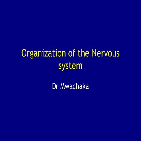 3. Organization of the Nervous system.ppt