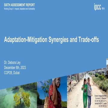Adaptation-Mitigation Synergies and Trade-offs | PPTX